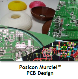 Posicon-and-Posicon-Murciel-with-images-pdf | Docent Corp